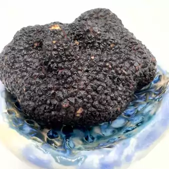 Restaurante Lisboa (Chiado)